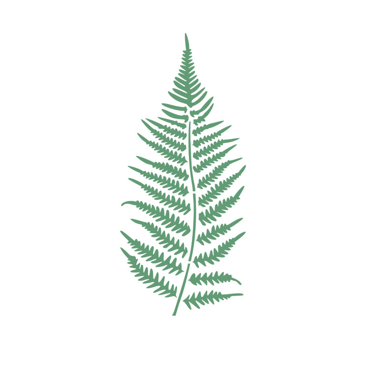 fern leaf stencil